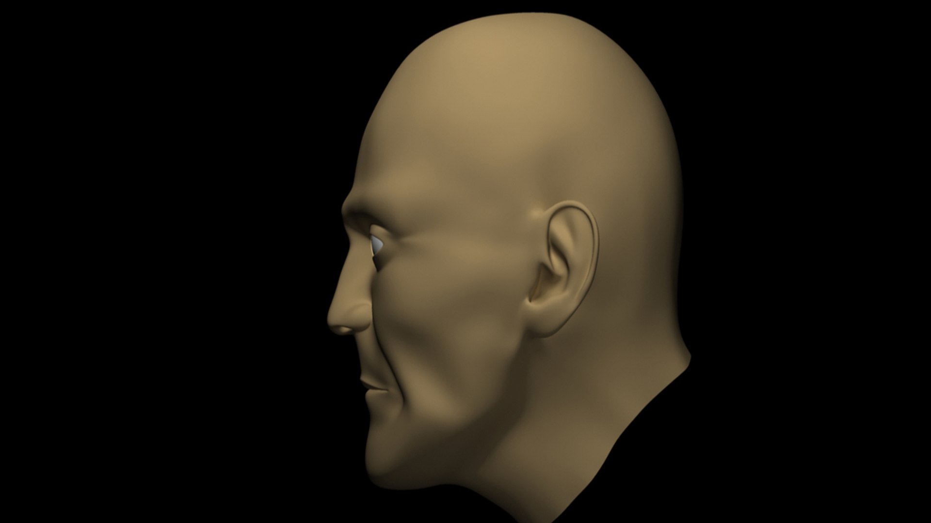 Free Head Base Mesh 3d Model