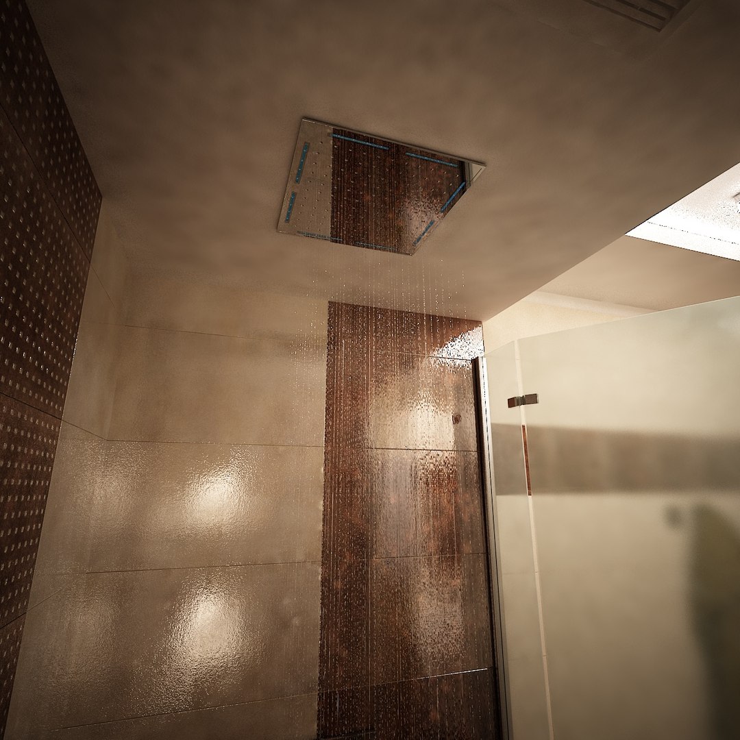 3d Model Ceiling Hand Shower Water