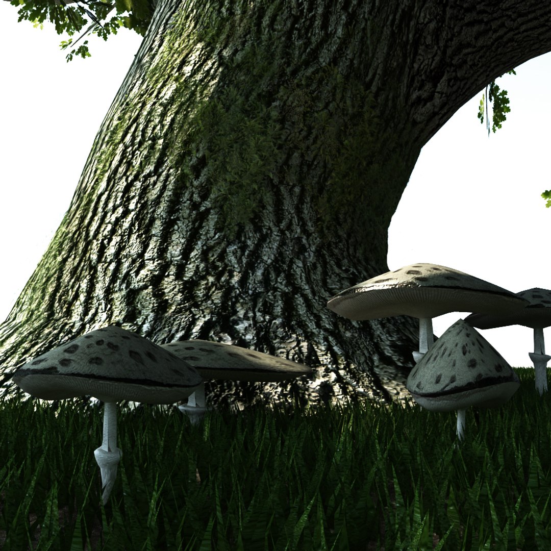 Fungus Set Mushrooms 3D Model - TurboSquid 1391104
