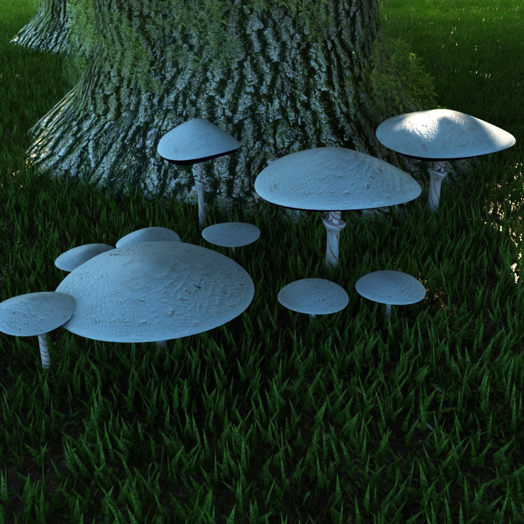 Fungus Set Mushrooms 3D Model - TurboSquid 1391104