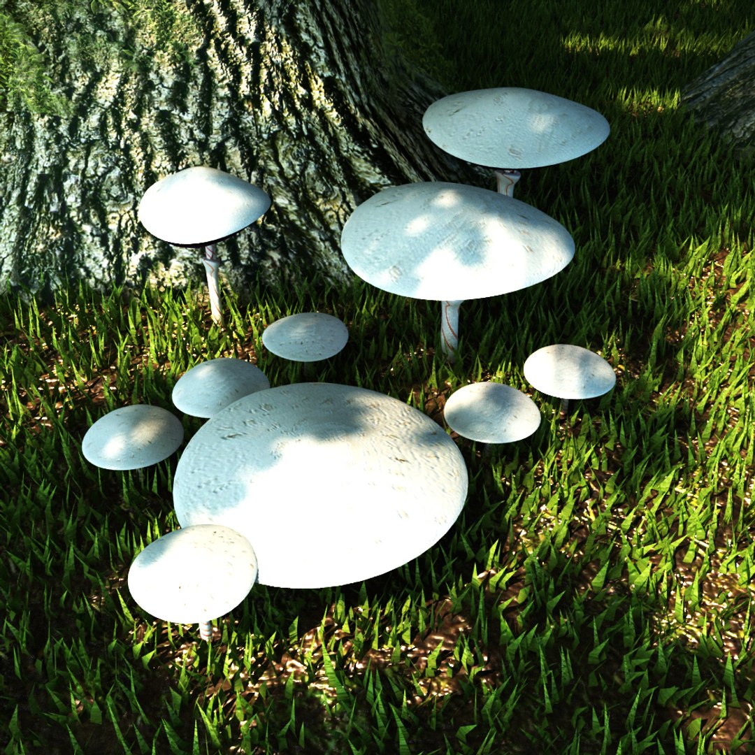 Fungus Set Mushrooms 3D Model - TurboSquid 1391104