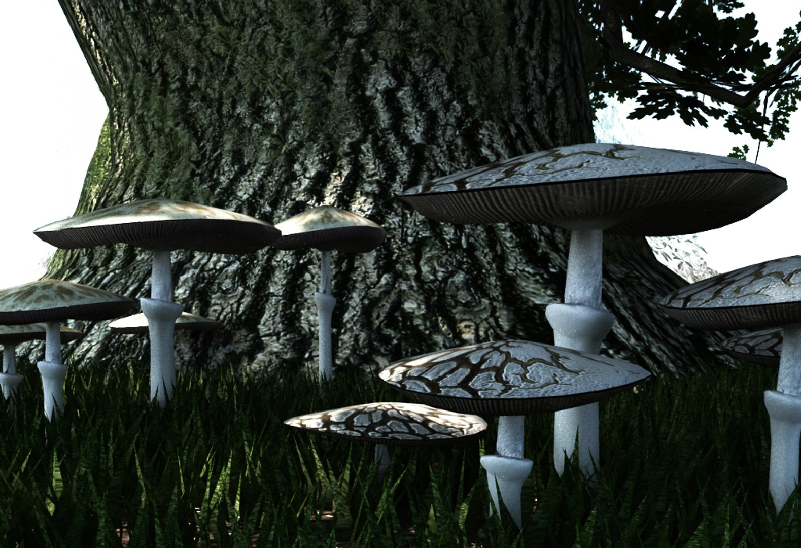 Fungus Set Mushrooms 3D Model - TurboSquid 1391104