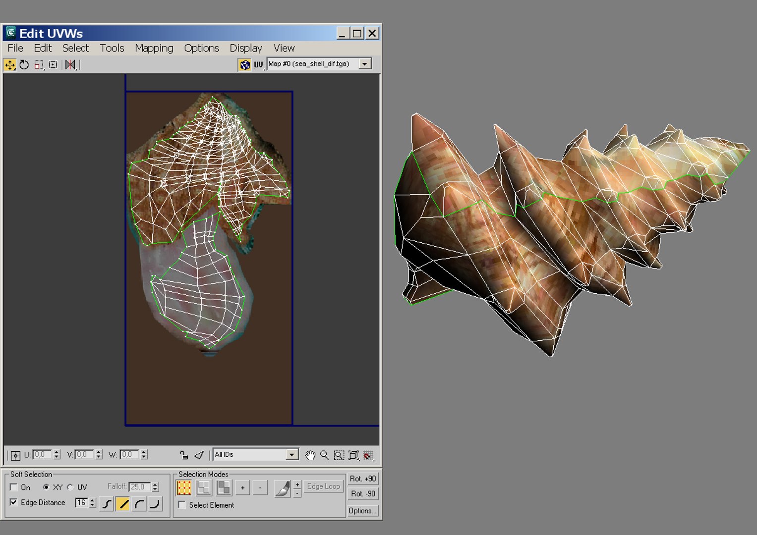 3d sea shell model