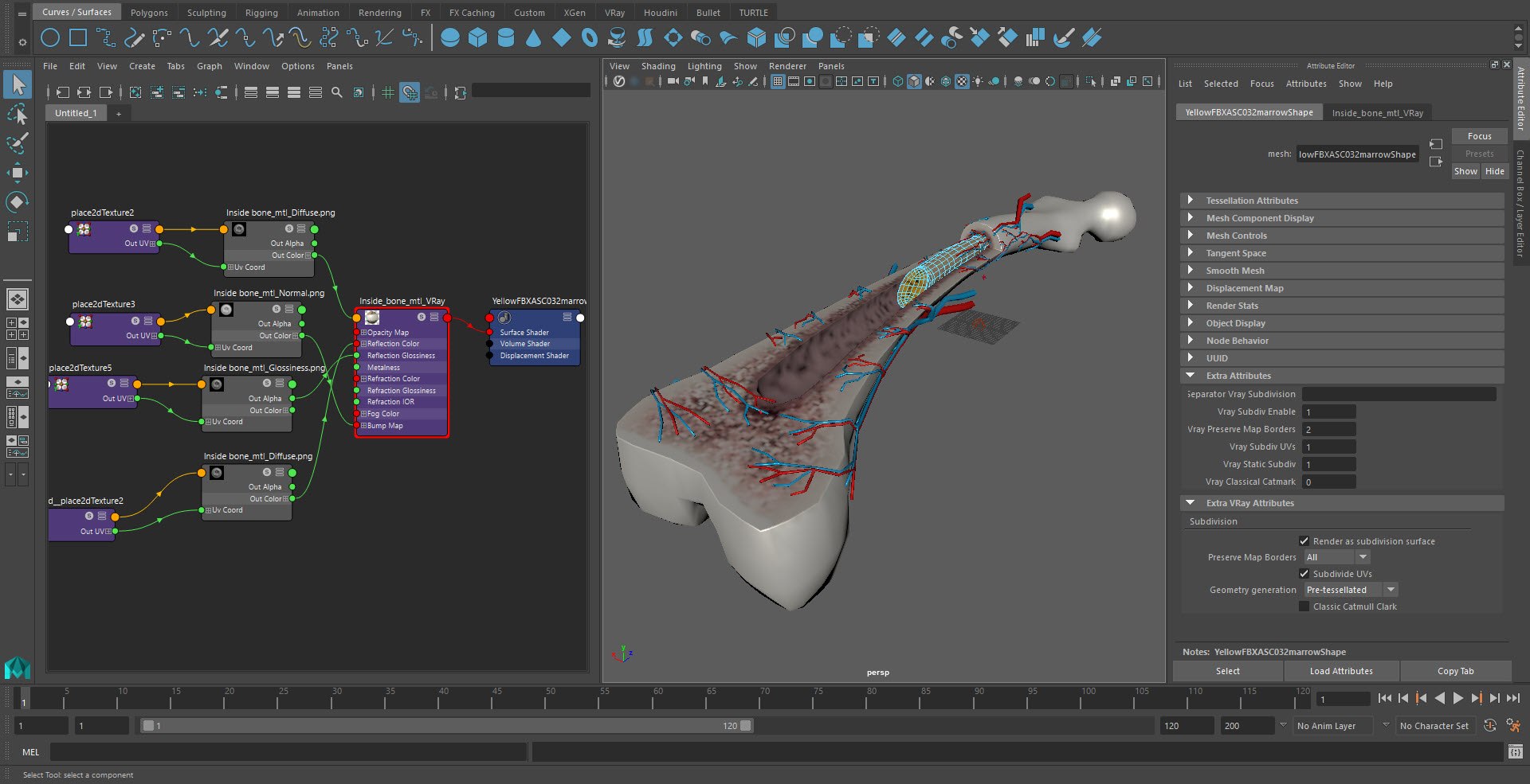 Bone Anatomy 3D Model - TurboSquid 1767779