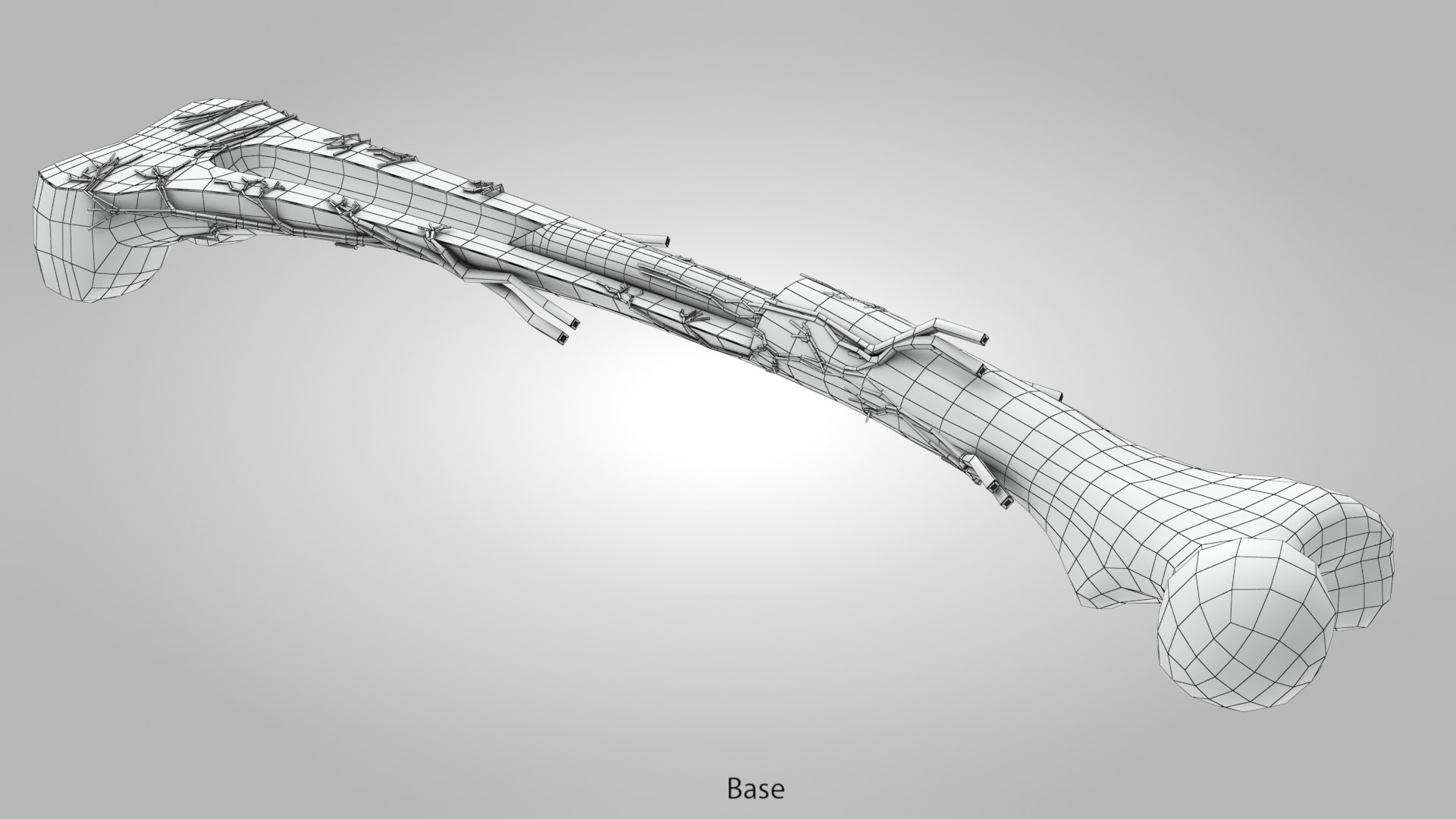 Bone Anatomy 3D Model - TurboSquid 1767779