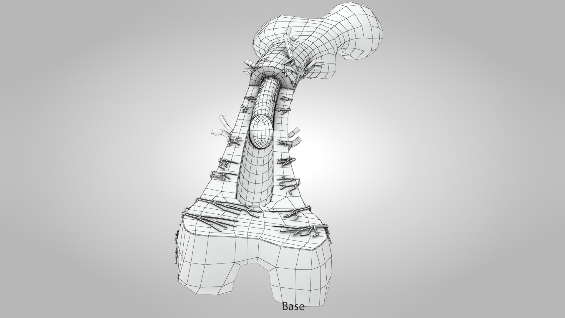 Bone Anatomy 3D Model - TurboSquid 1767779