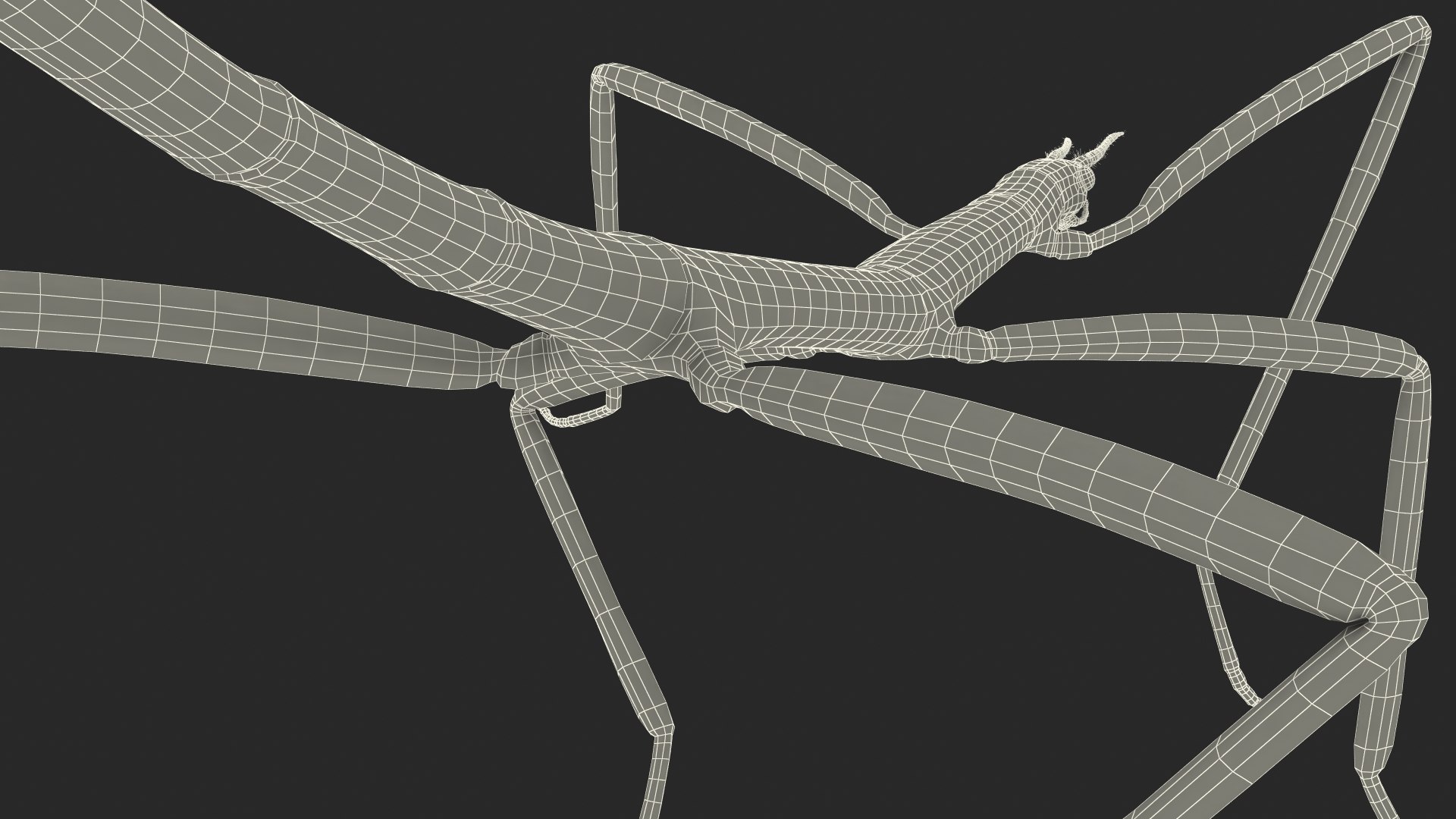 3D stick insect brown walking model - TurboSquid 1469124