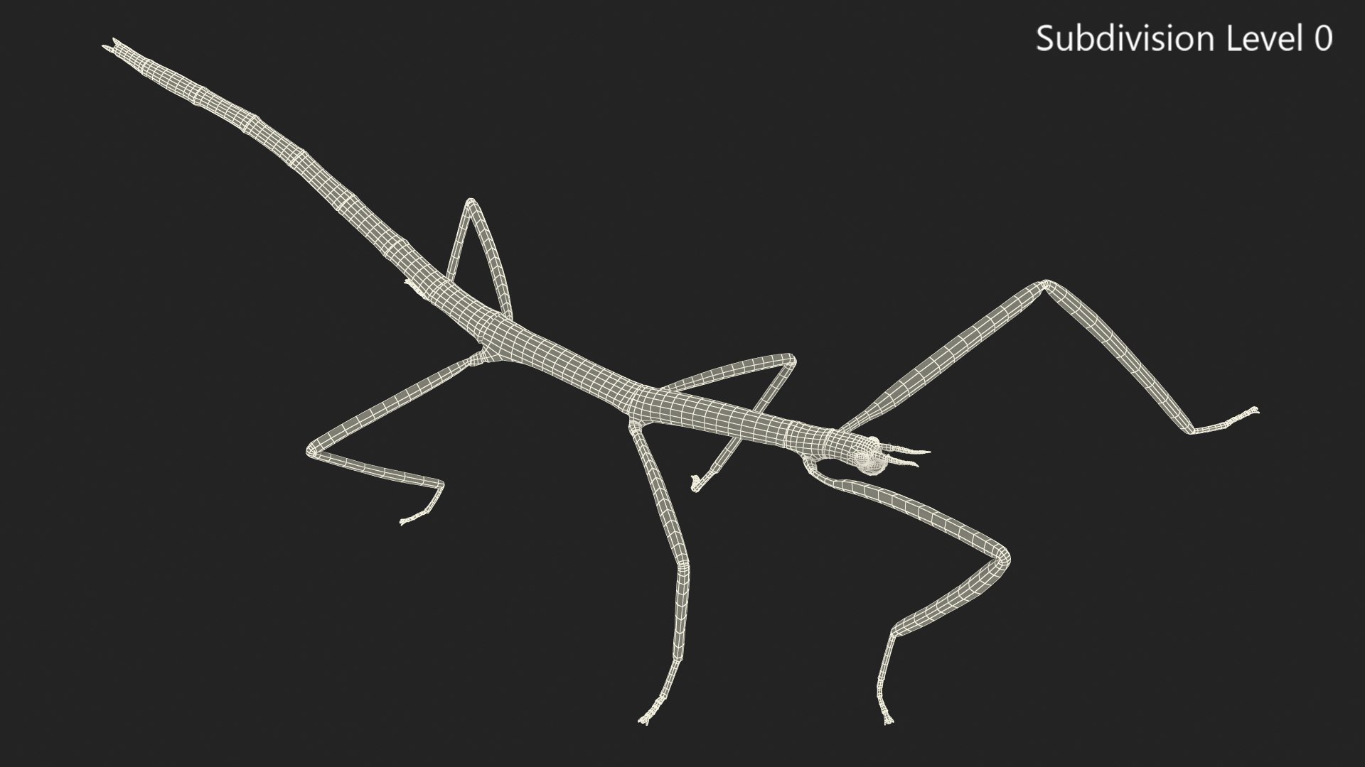 3D Stick Insect Brown Walking Model - TurboSquid 1469124