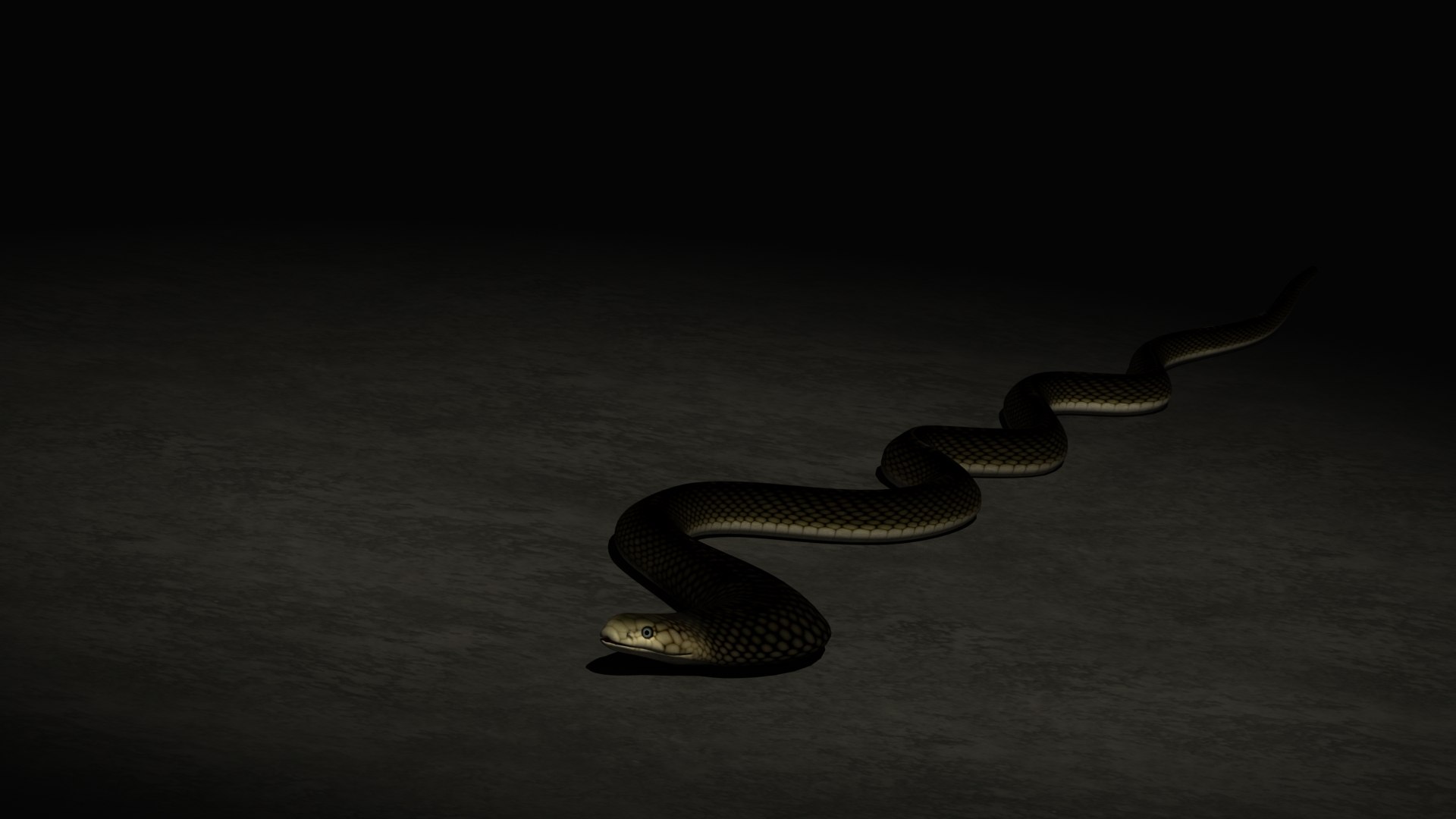 Animated Cobra 3D Model - TurboSquid 2064933