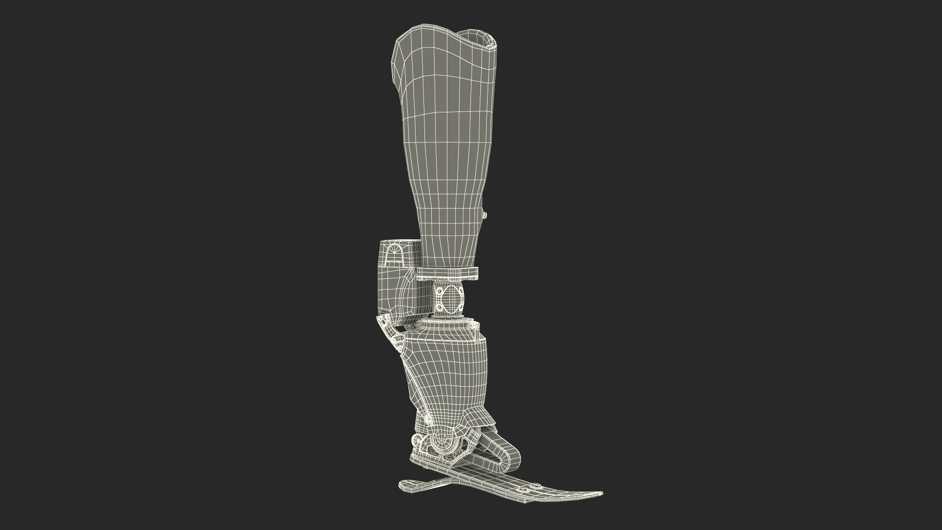 Prosthetic Leg Rigged 3D Model - TurboSquid 2353281