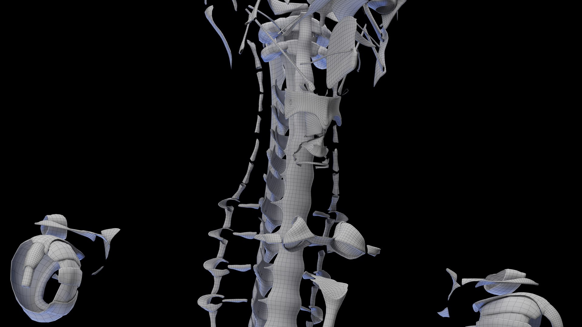 3D Medically Accurate Male Connective system model - TurboSquid 2042279