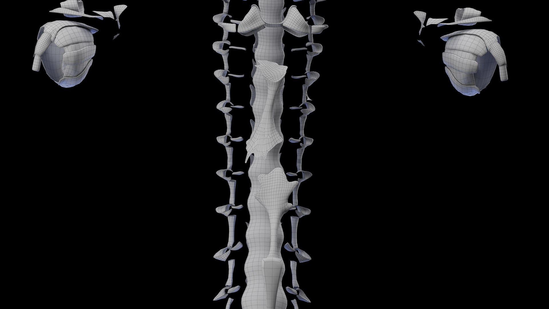 3D Medically Accurate Male Connective system model - TurboSquid 2042279