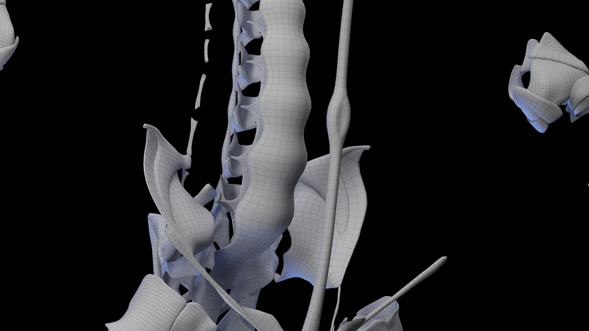 3D Medically Accurate Male Connective system model - TurboSquid 2042279