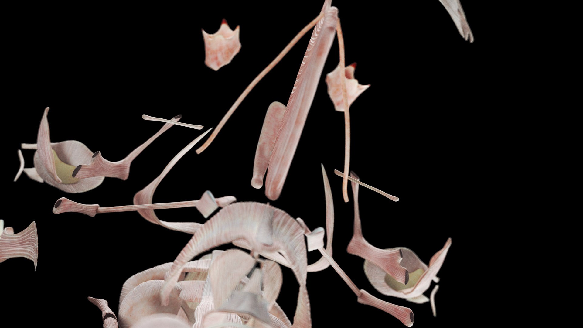 3D Medically Accurate Male Connective system model - TurboSquid 2042279