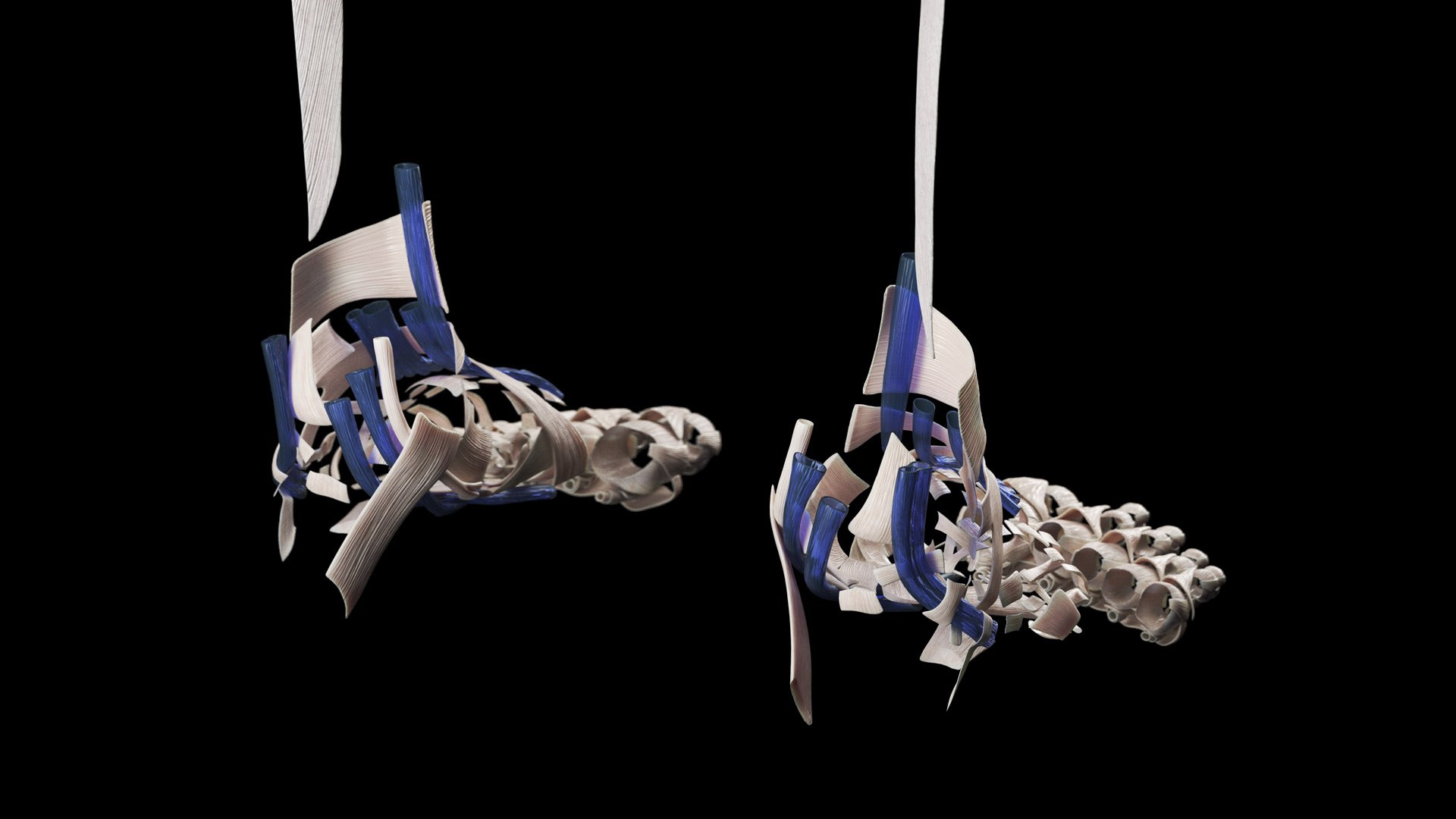 3D Medically Accurate Male Connective system model - TurboSquid 2042279