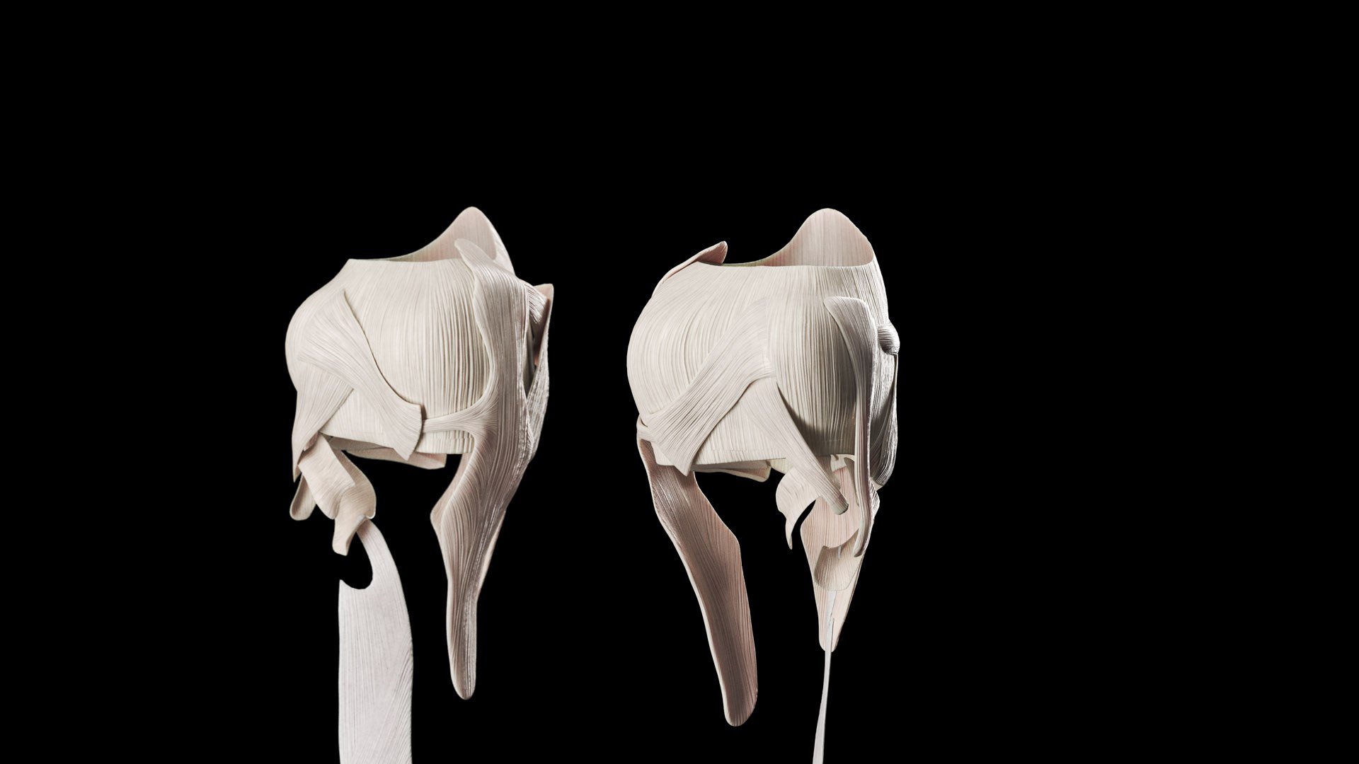 3D Medically Accurate Male Connective system model - TurboSquid 2042279