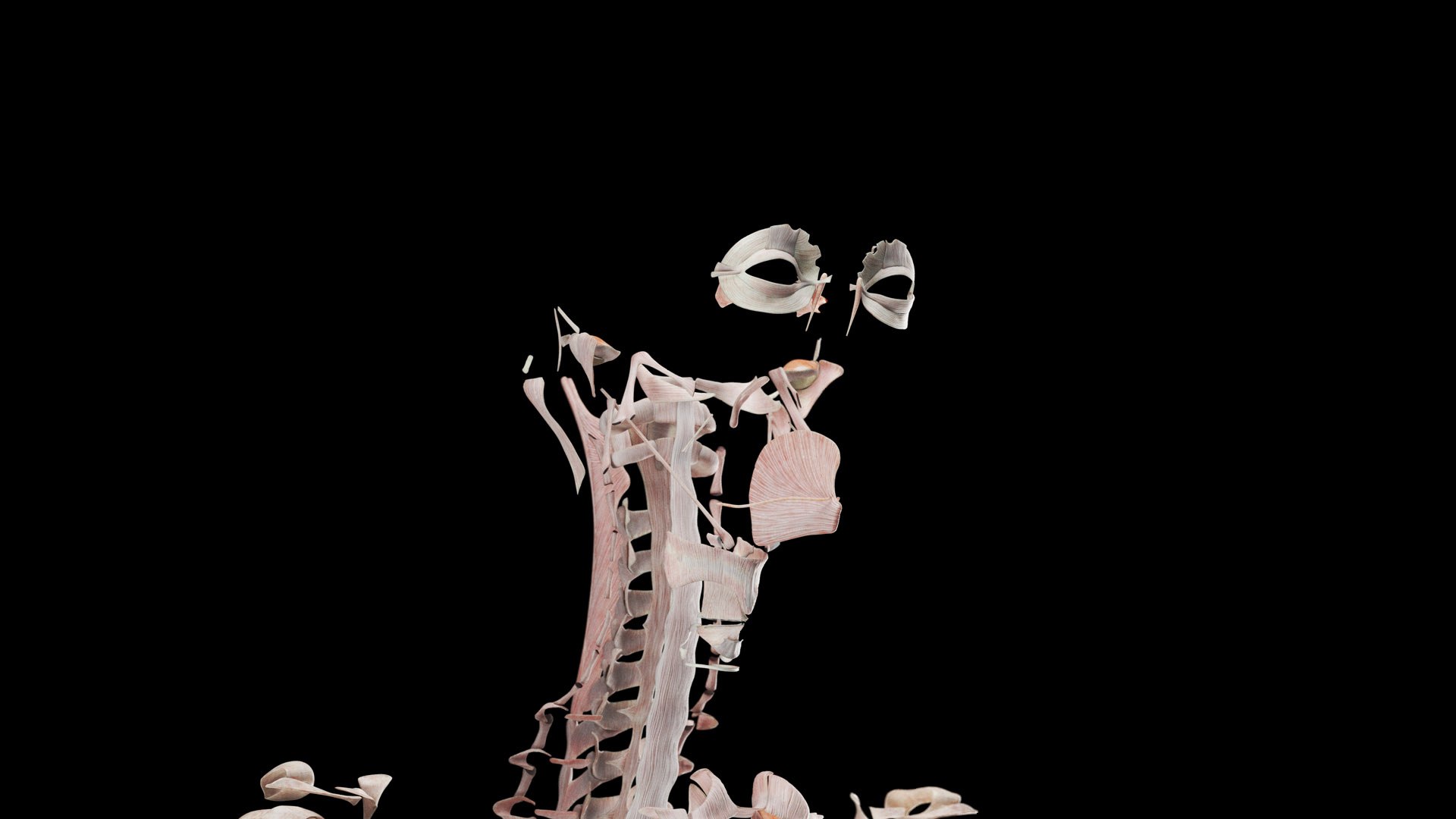 3D Medically Accurate Male Connective System Model - TurboSquid 2042279