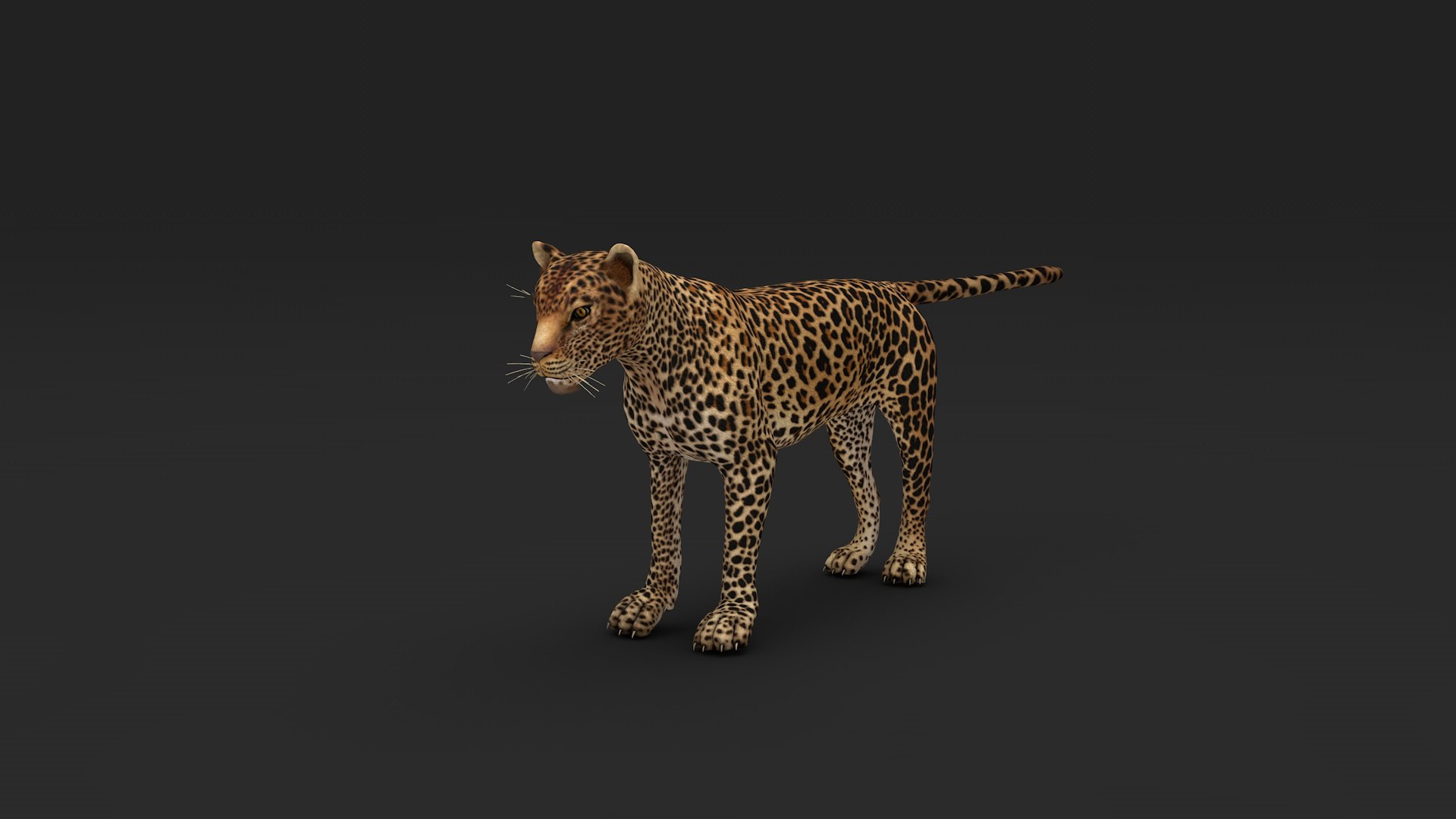 3D Leopard - TurboSquid 1856551