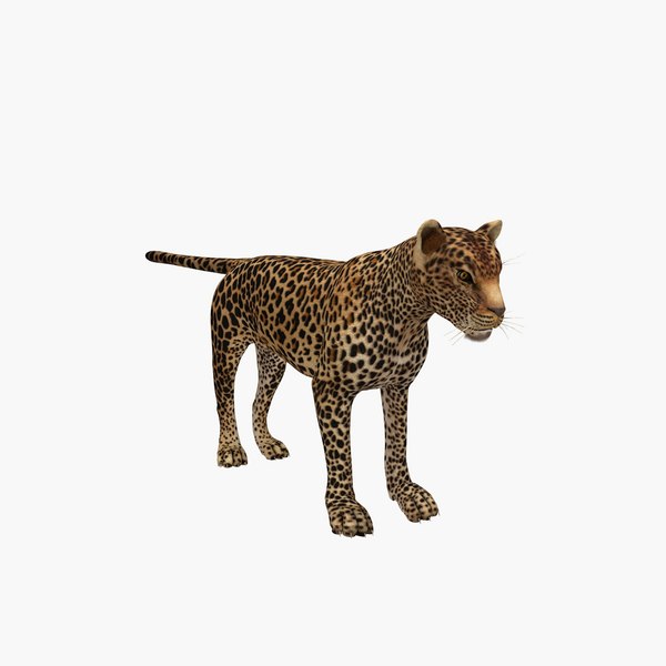 3D Leopard - TurboSquid 1856551