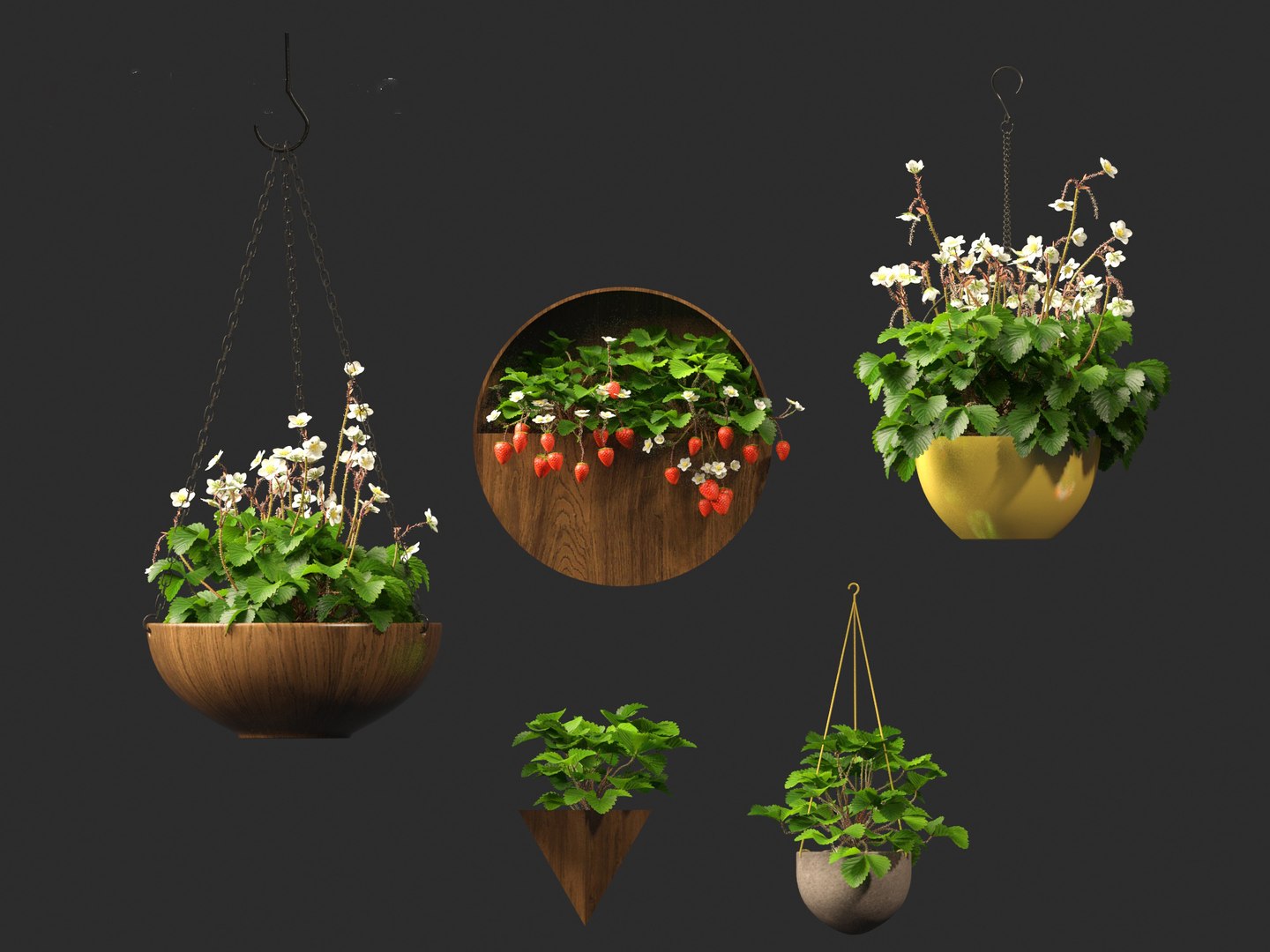 Fragaria - Woodland Strawberry 02 3D Model - TurboSquid 2141134