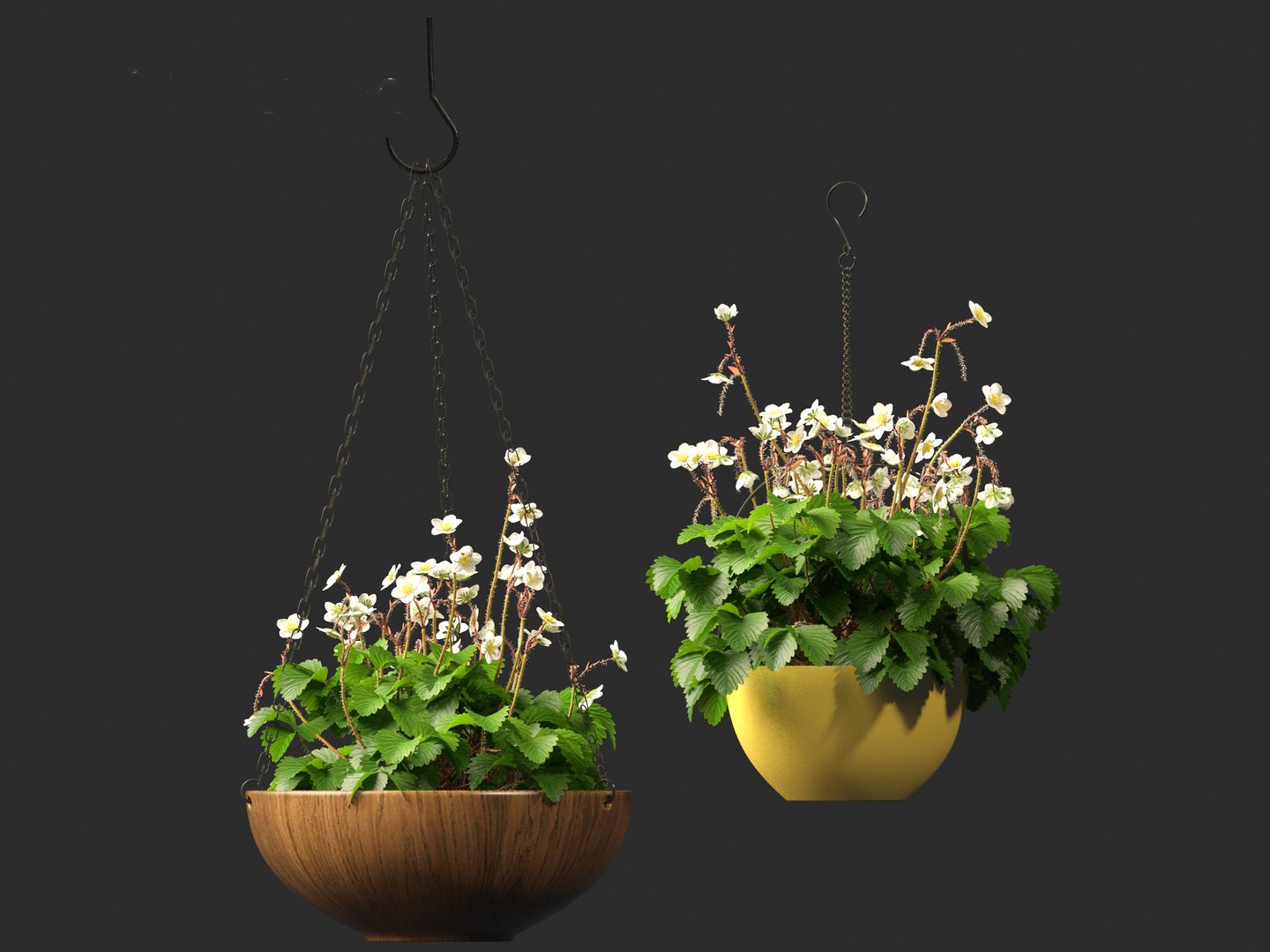 Fragaria - Woodland Strawberry 02 3D Model - TurboSquid 2141134