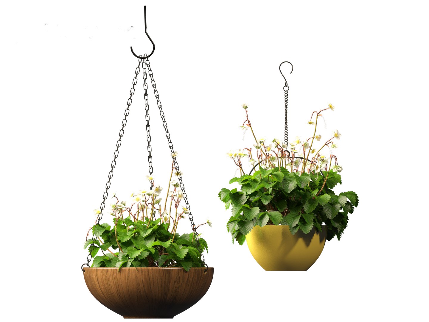 Fragaria - Woodland Strawberry 02 3D Model - TurboSquid 2141134
