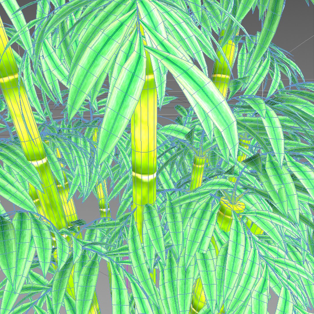 Bamboo Tree 3D Model - TurboSquid 1317534
