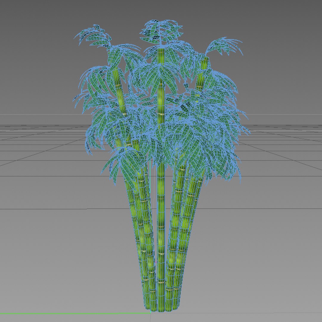 Bamboo Tree 3D Model - TurboSquid 1317534