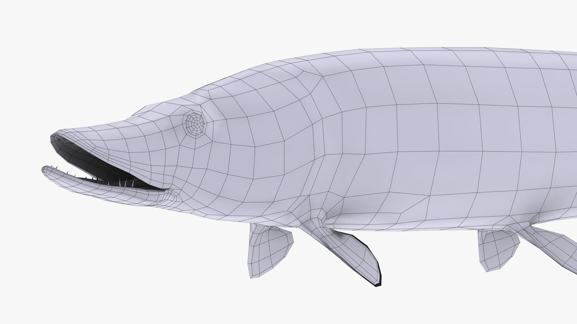 Esocidae Esox Fish 3ds