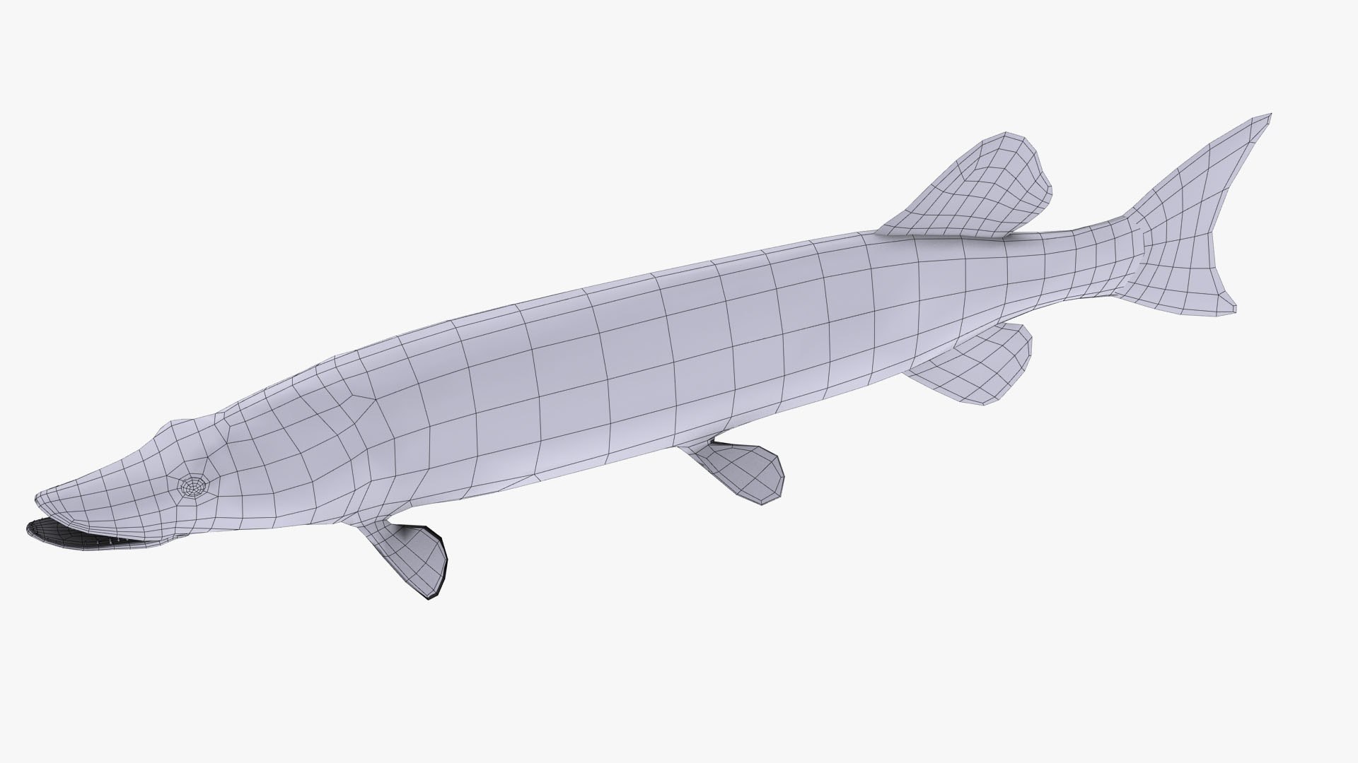 Esocidae Esox Fish 3ds