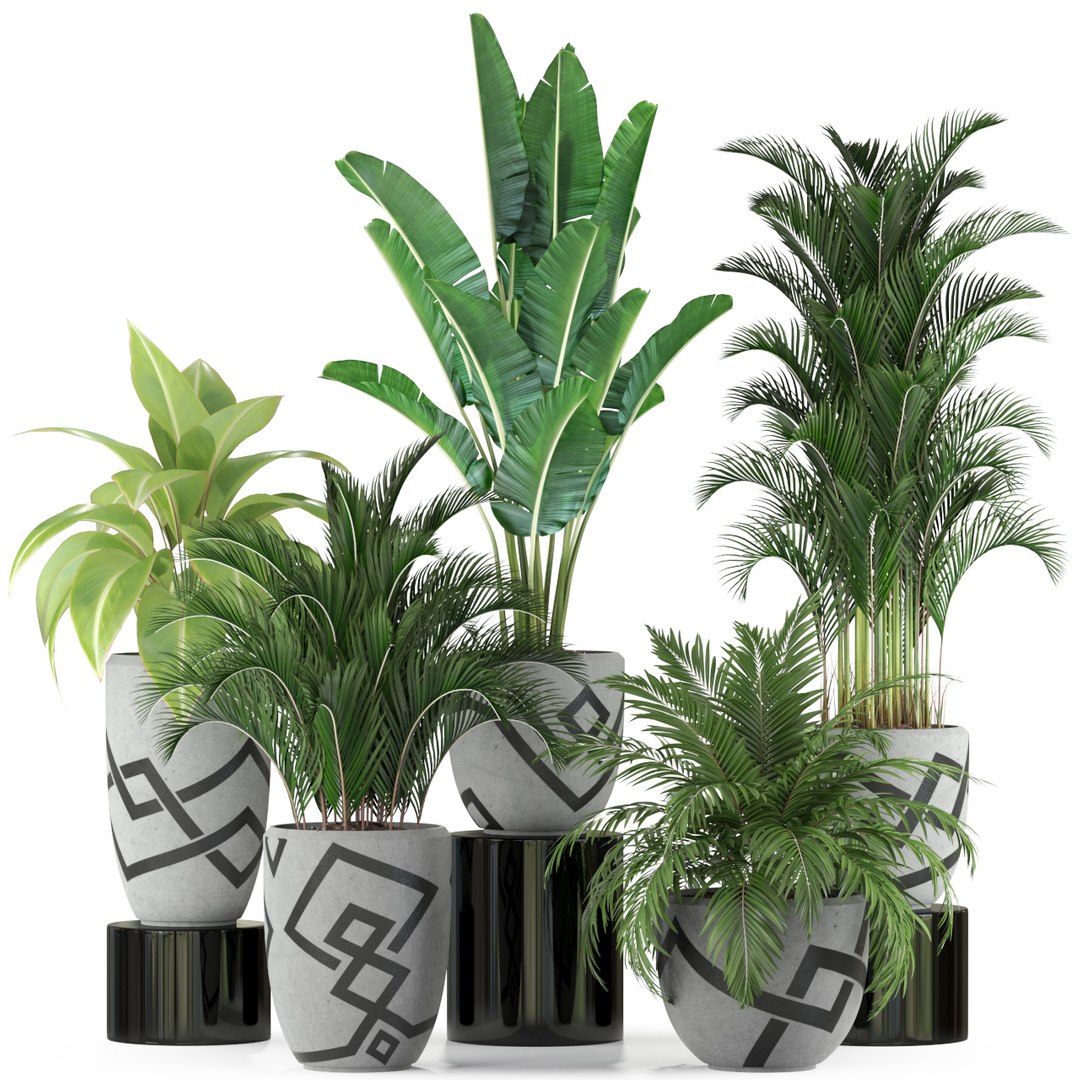 Plants 236 3D - TurboSquid 1528022