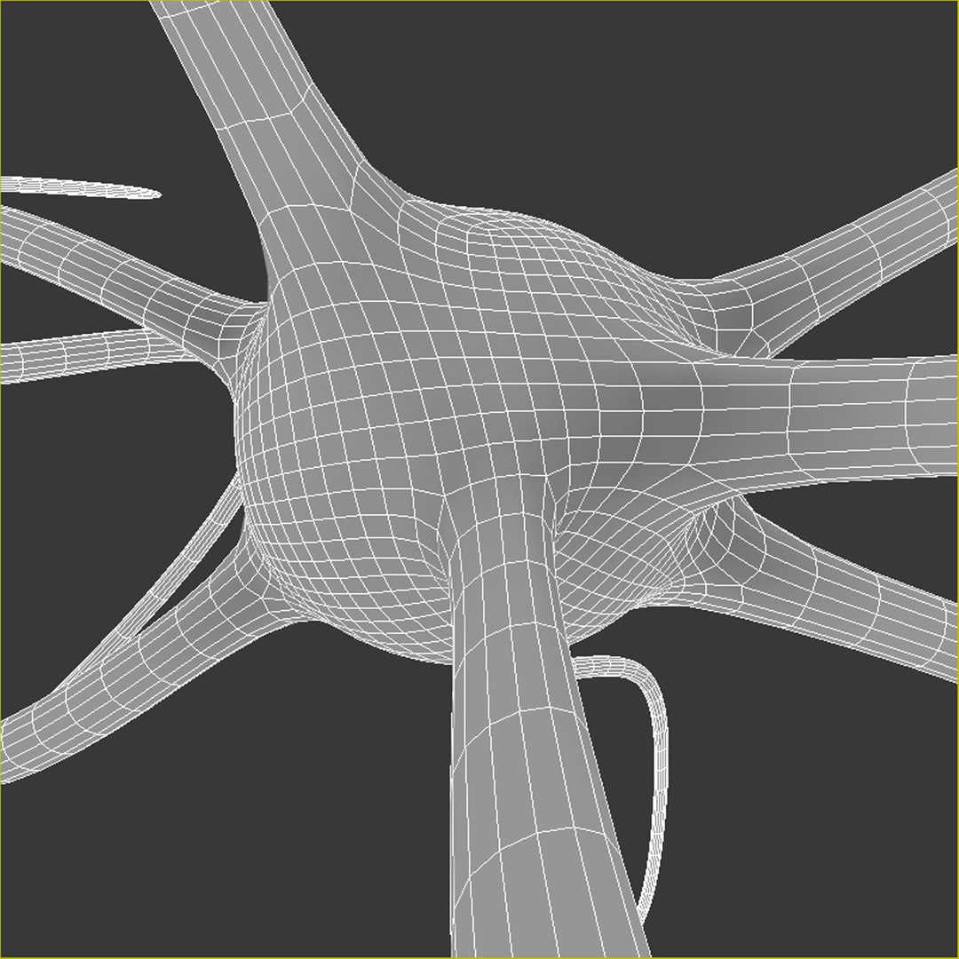 Cell Dendrite Transmission 3d Max