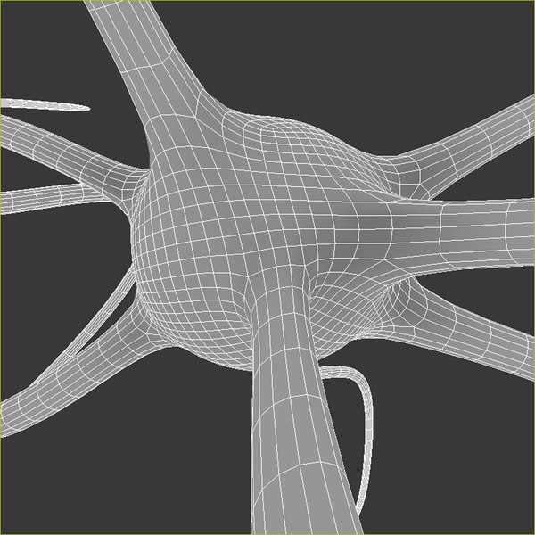 cell dendrite transmission 3d max