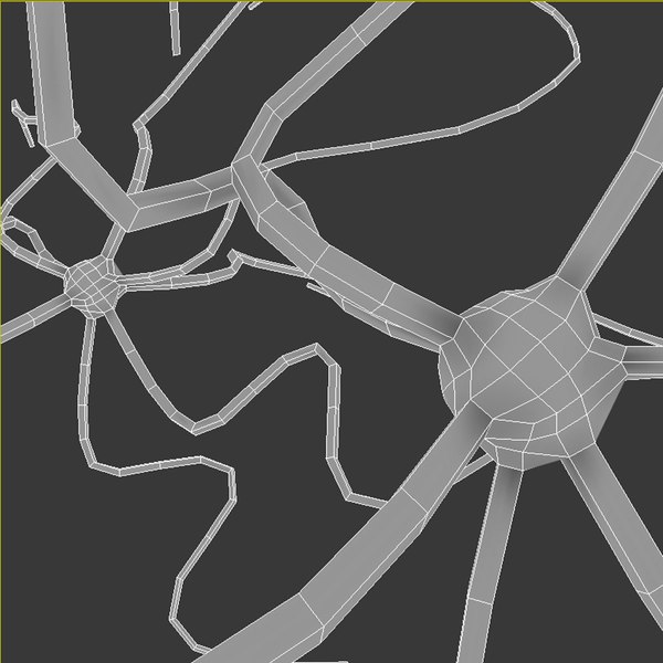 cell dendrite transmission 3d max