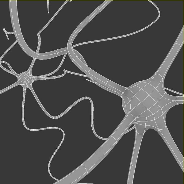 cell dendrite transmission 3d max