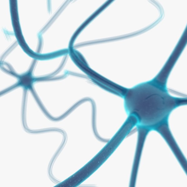 cell dendrite transmission 3d max