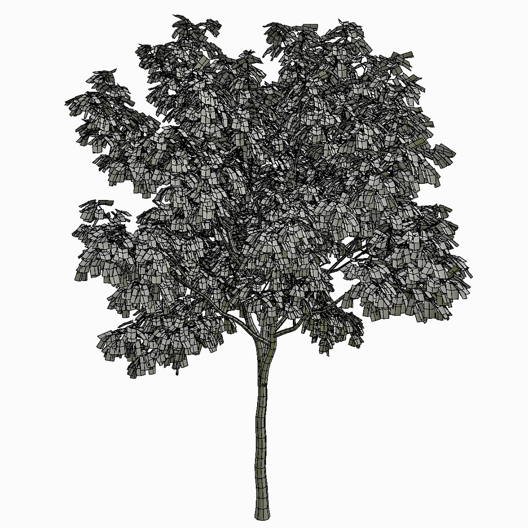 3d Model Tree Environment