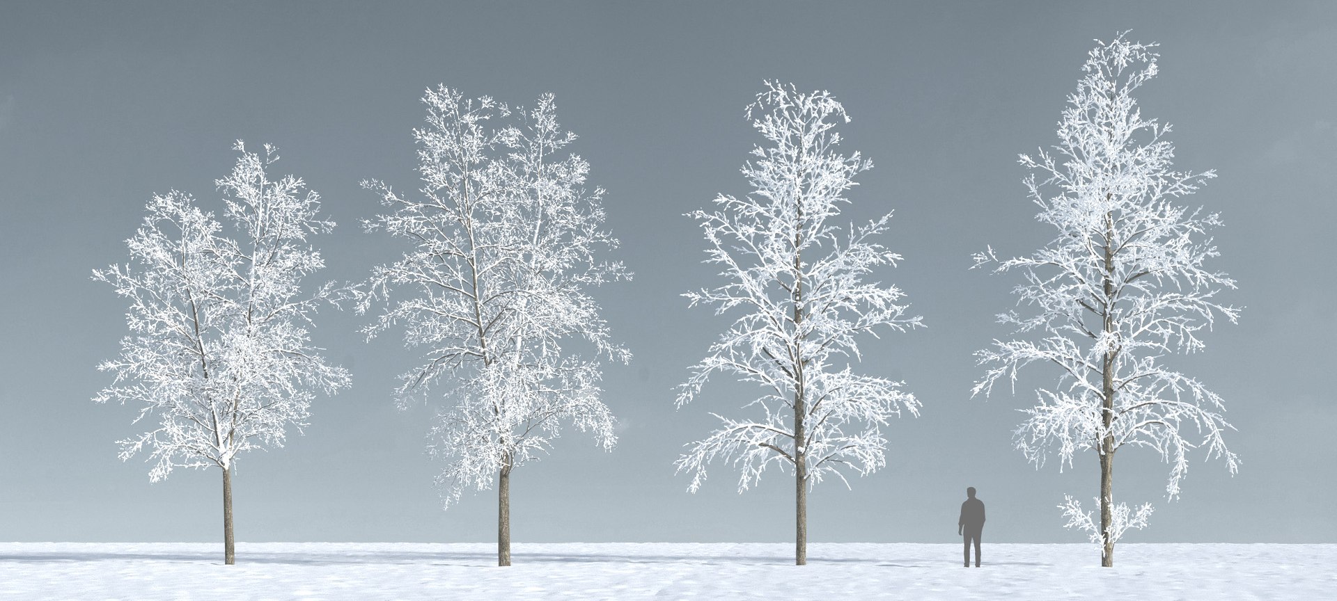 3D Model Trees 10 - TurboSquid 1349225