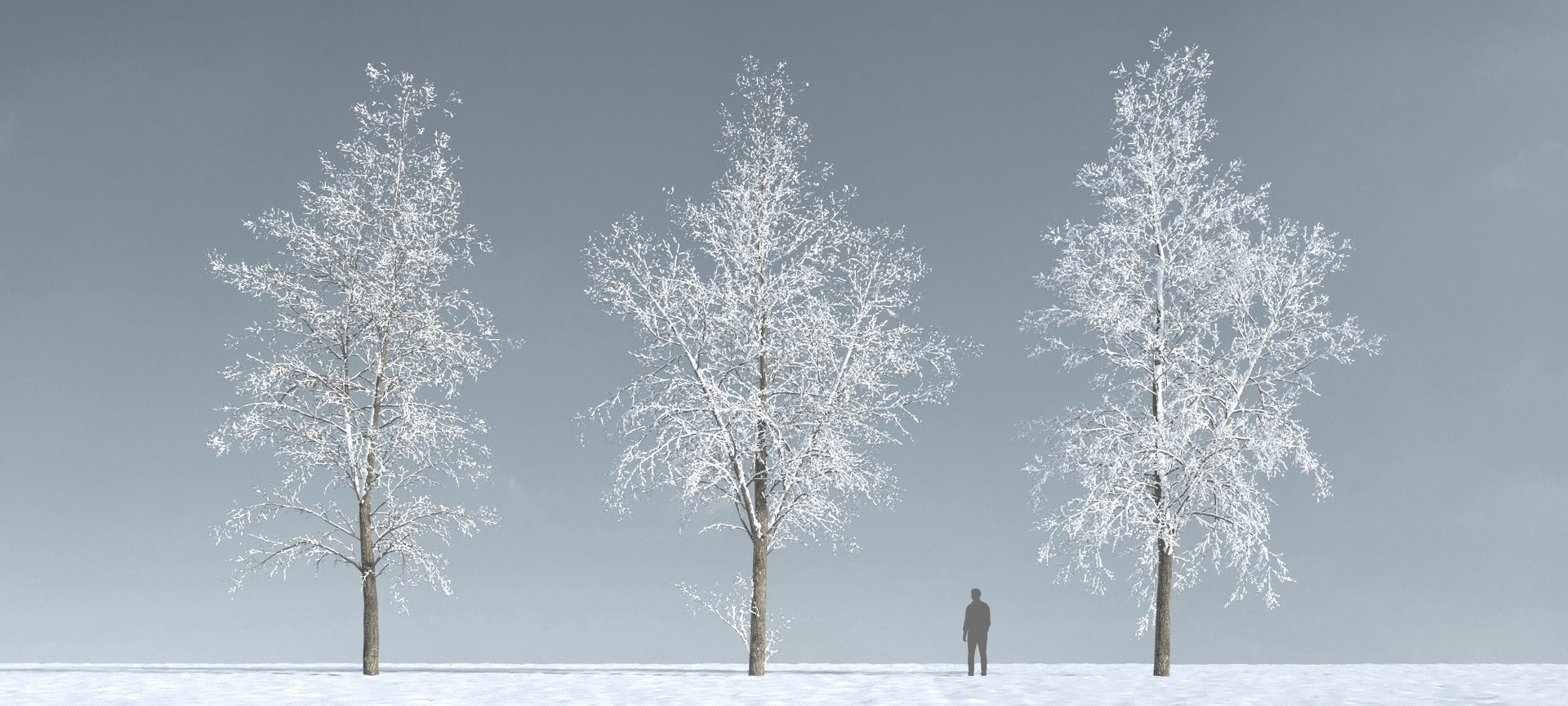 3D Model Trees 10 - TurboSquid 1349225