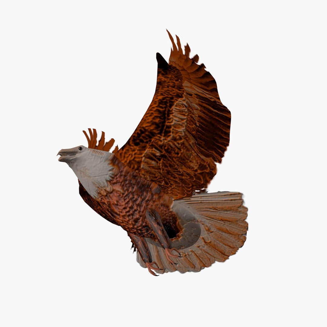 3d flying golden eagle catching model