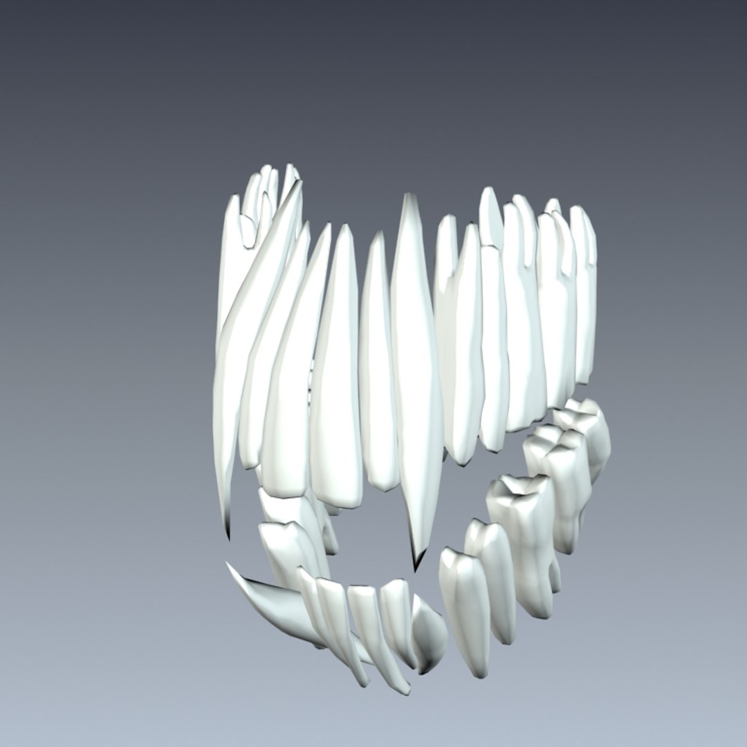 3d Model Universal Teeth Tooth