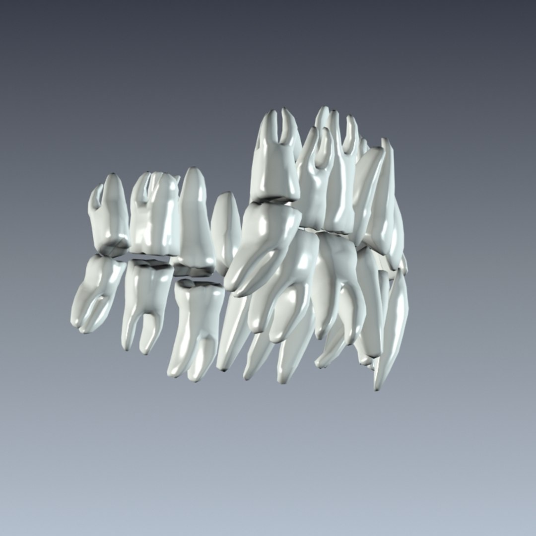 3d Model Universal Teeth Tooth