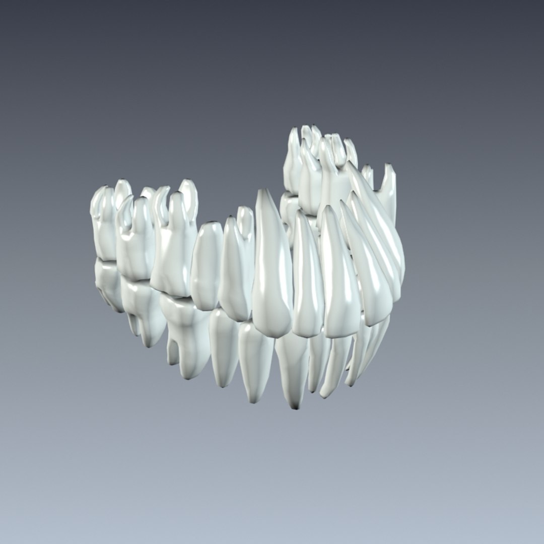 3d Model Universal Teeth Tooth