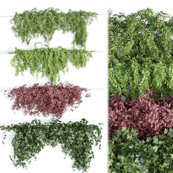 3D Hanging wall creeper plants collection vol 7 - TurboSquid 2003597