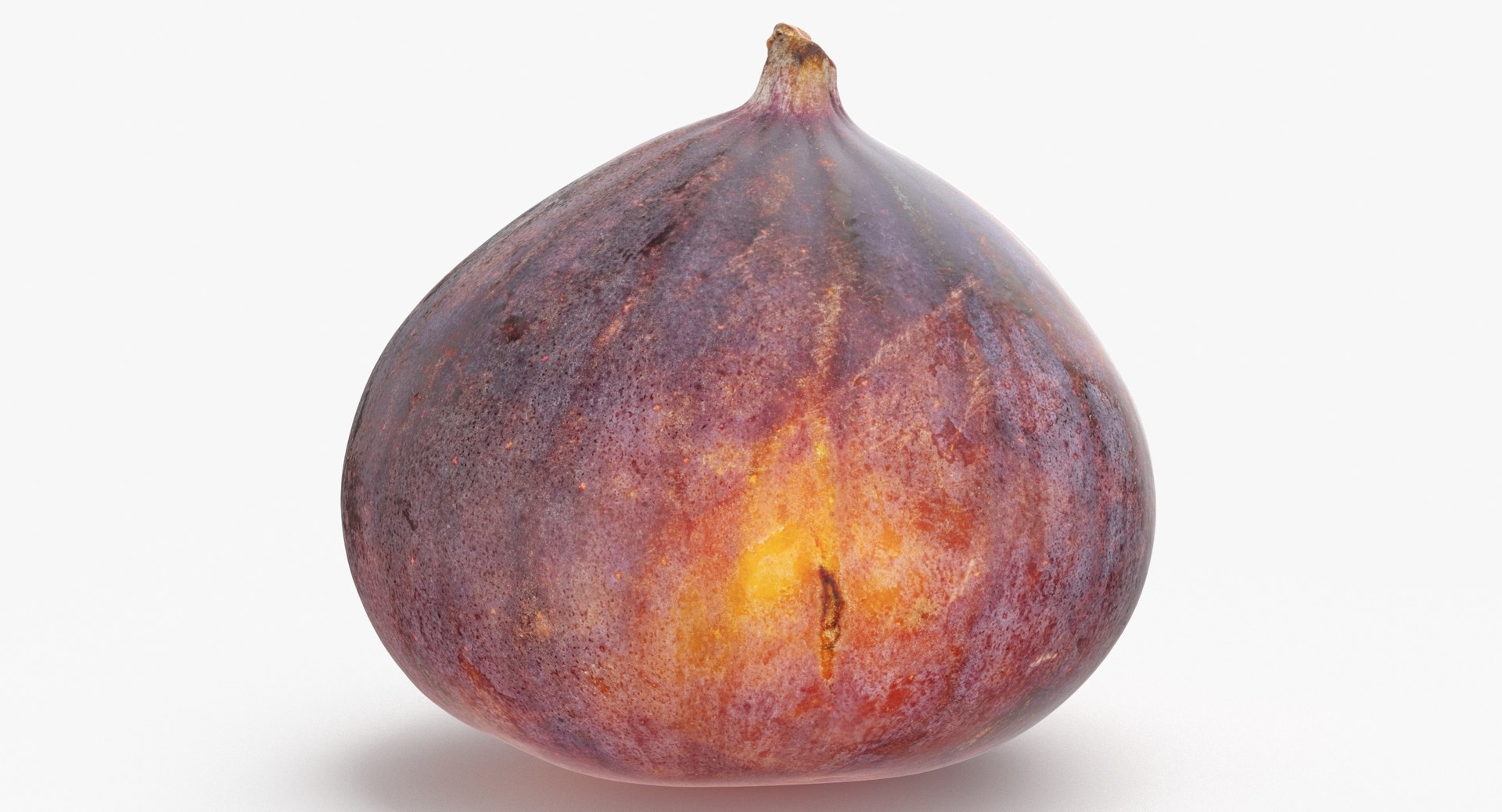 Common Fig 01 3D - TurboSquid 2056125