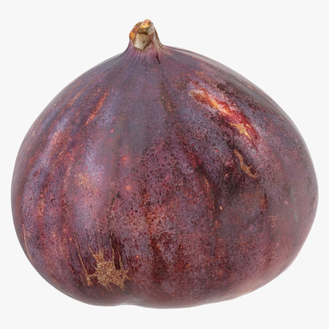 Common Fig 01 3D - TurboSquid 2056125