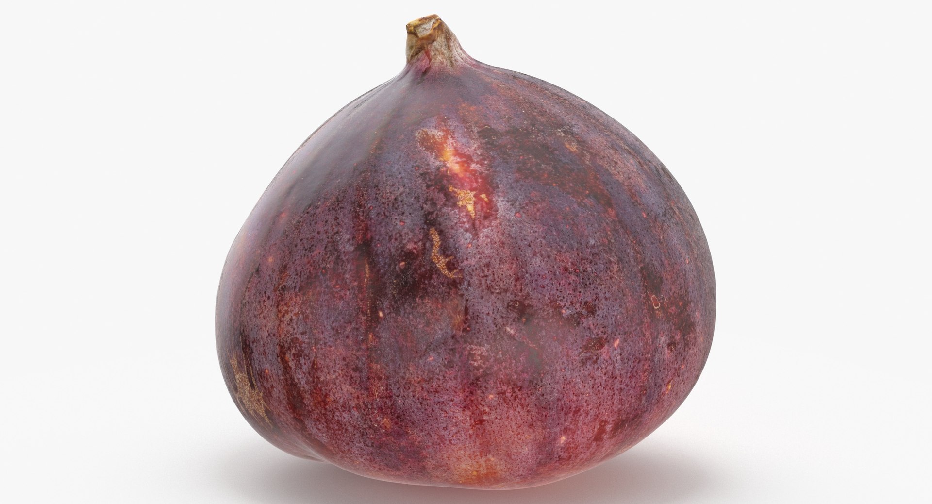 Common Fig 01 3D - TurboSquid 2056125