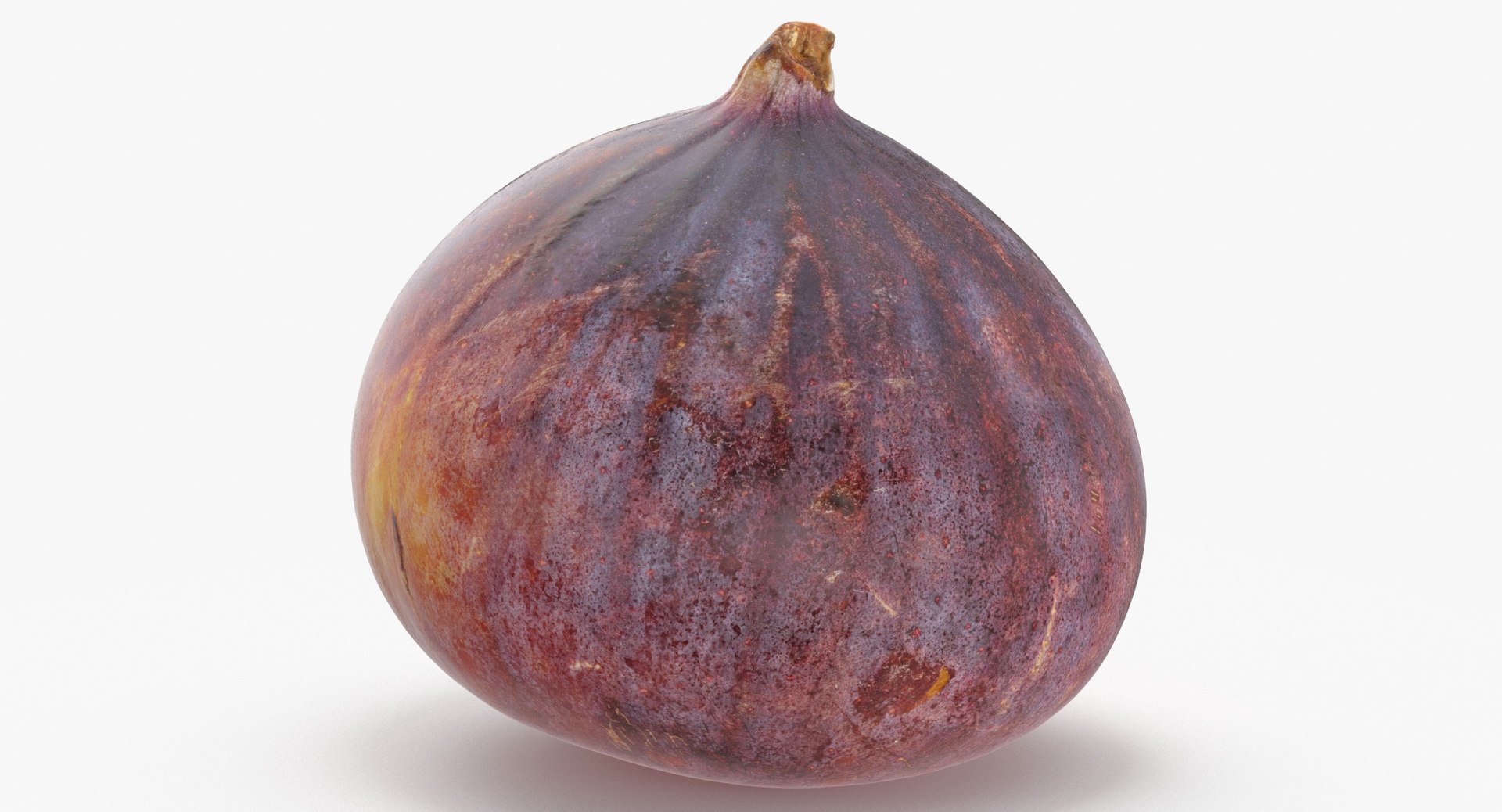 Common Fig 01 3D - TurboSquid 2056125