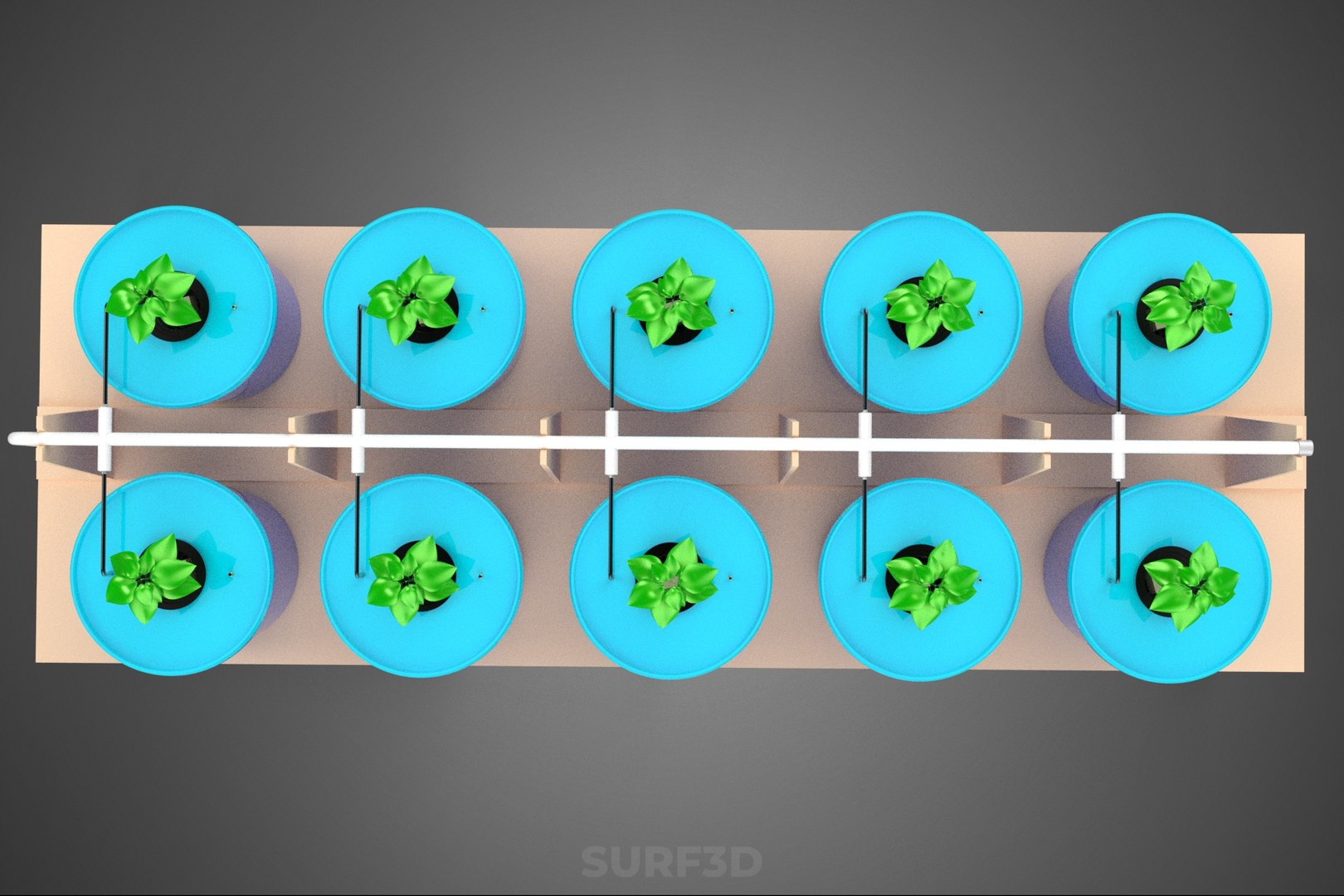 3D DBS DUTCH BUCKET SYSTEM BATO HYDROPONIC PLANT CULTIVATION GARDEN ...