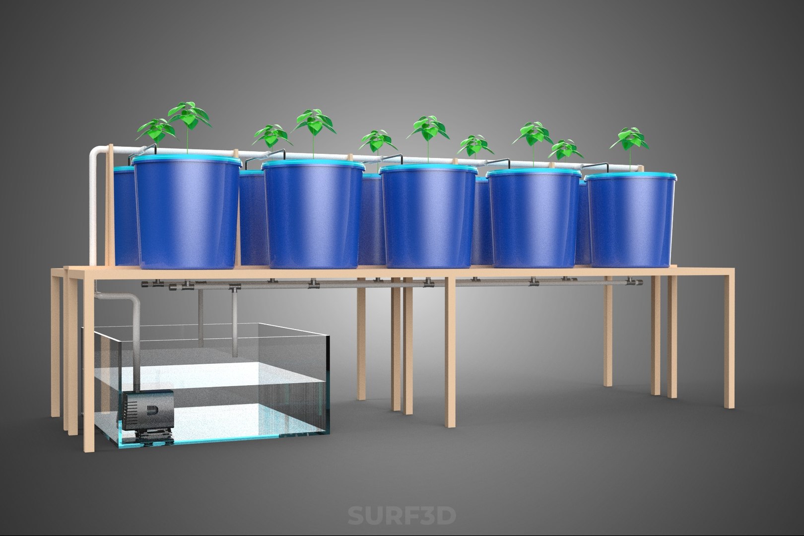 3D DBS DUTCH BUCKET SYSTEM BATO HYDROPONIC PLANT CULTIVATION GARDEN ...